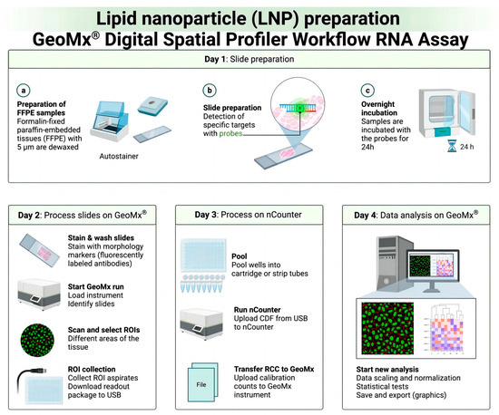 Vaccines | Free Full-Text | Lipid Nanoparticle (LNP) Delivery Carrier-Assisted Targeted ...