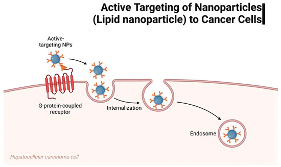 Vaccines | Free Full-Text | Lipid Nanoparticle (LNP) Delivery Carrier-Assisted Targeted ...