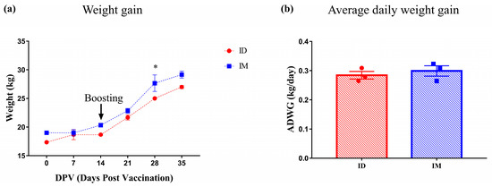 Intradermal Inoculation of Inactivated Foot-and-Mouth Disease Vaccine ...