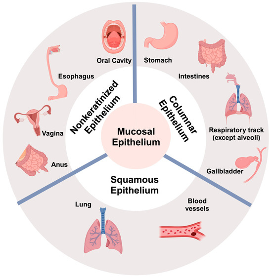 Vaccine Strategies to Elicit Mucosal Immunity