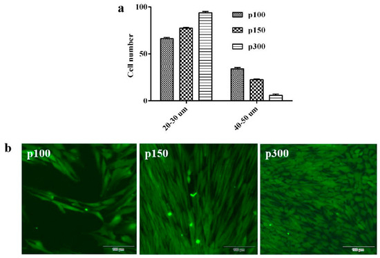 The Stability and Efficency of CPB Cells Were Acclimated for Virus ...