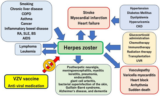 Herpes Zoster and Cardiovascular Disease: Exploring Associations and ...