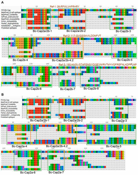 Humoral and Cellular Immune Responses Induced by Bivalent DNA Vaccines ...