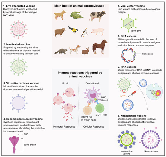 Vaccines | Free Full-Text | Towards a Safer Future: Enhancing Vaccine ...