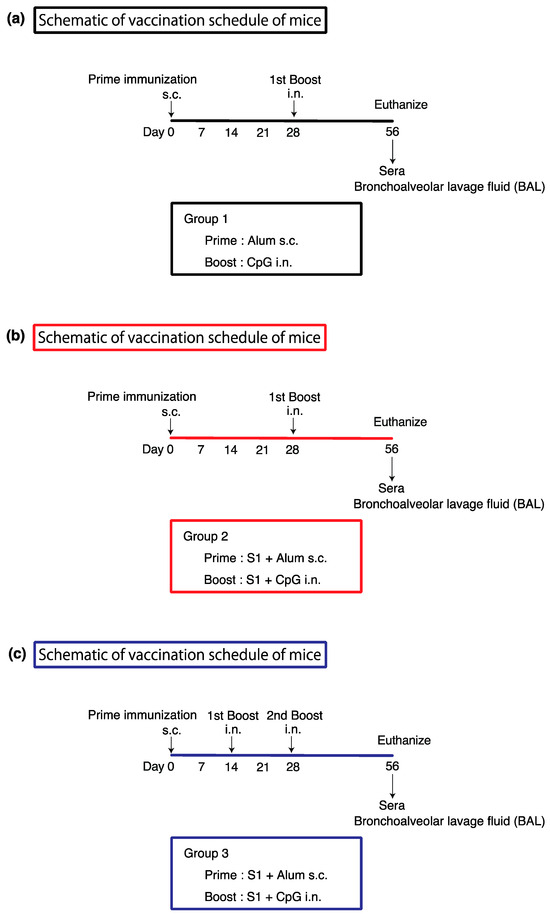 Immunological Response to Subcutaneous and Intranasal Administration of ...
