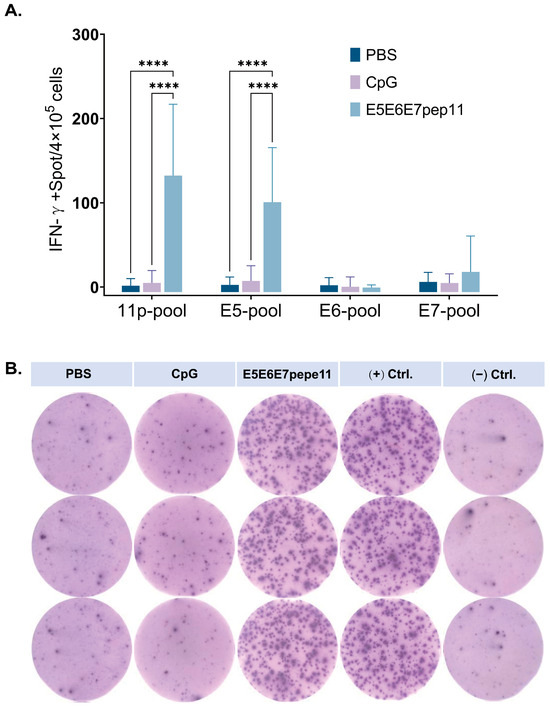 Immunoinformatics Design and In Vivo Immunogenicity Evaluation of a ...