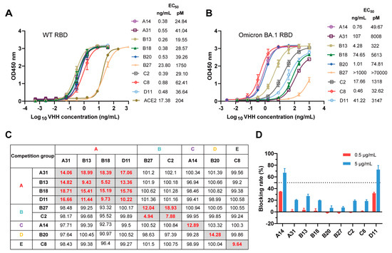 Engineered Multivalent Nanobodies Efficiently Neutralize SARS-CoV-2 ...