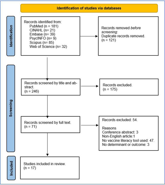 Perspectives in the Development of Tools to Assess Vaccine Literacy