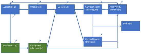 Using a Dynamic Model to Estimate the Cost-Effectiveness of HPV ...