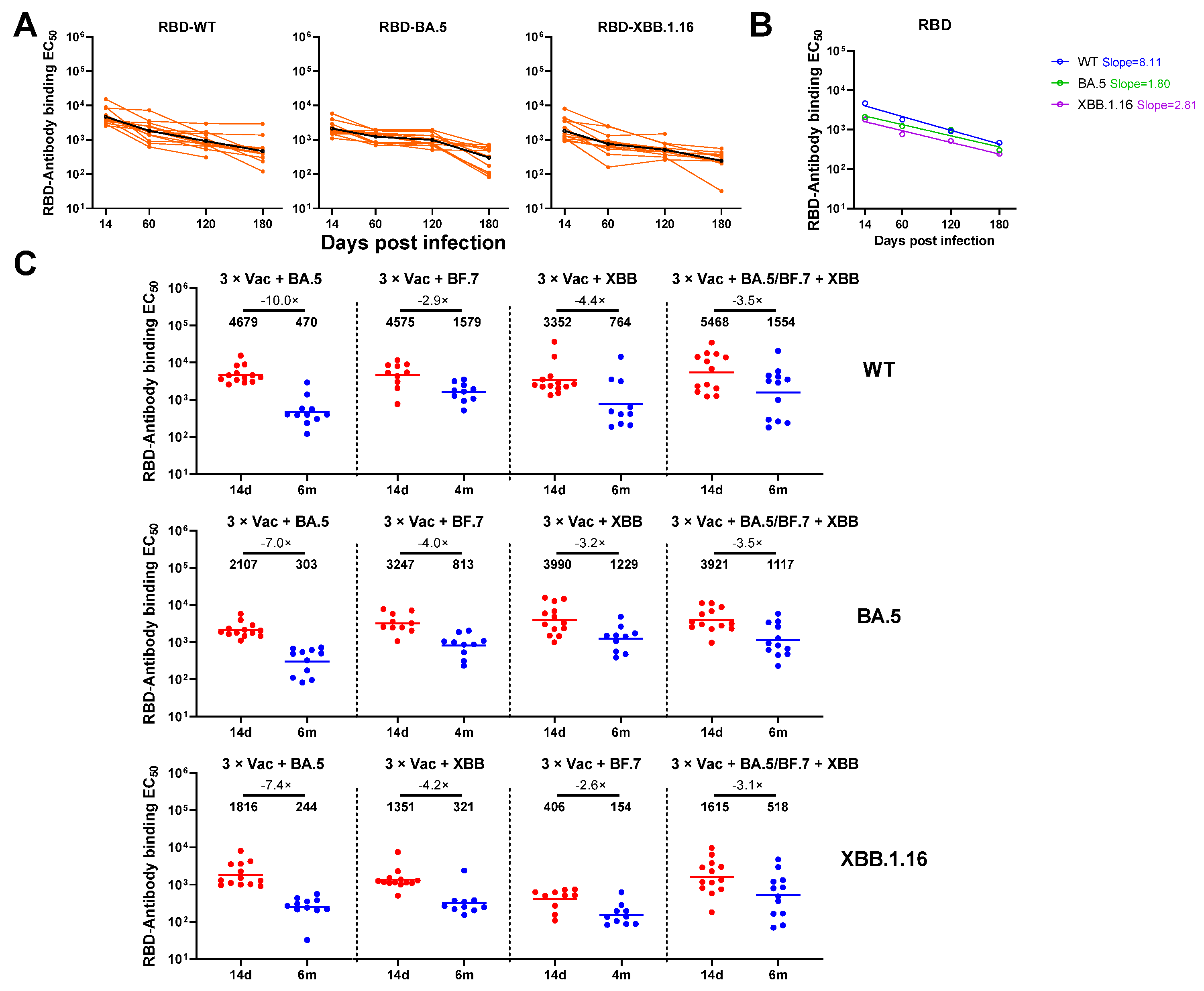 Longitudinal Analysis of Humoral and Cellular Immune Response up to 6 Months after SARS-CoV-2 BA ...