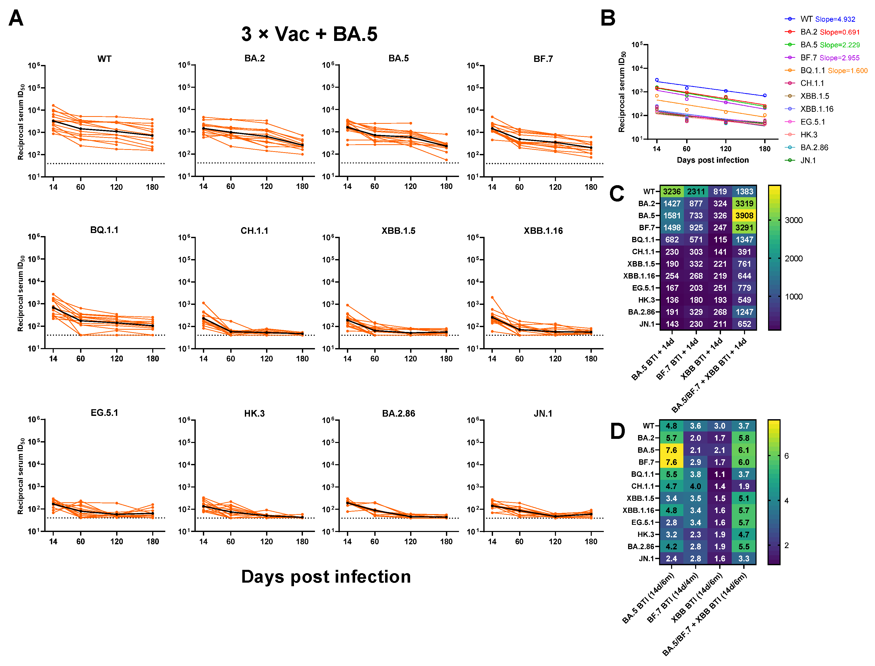 Longitudinal Analysis of Humoral and Cellular Immune Response up to 6 Months after SARS-CoV-2 BA ...