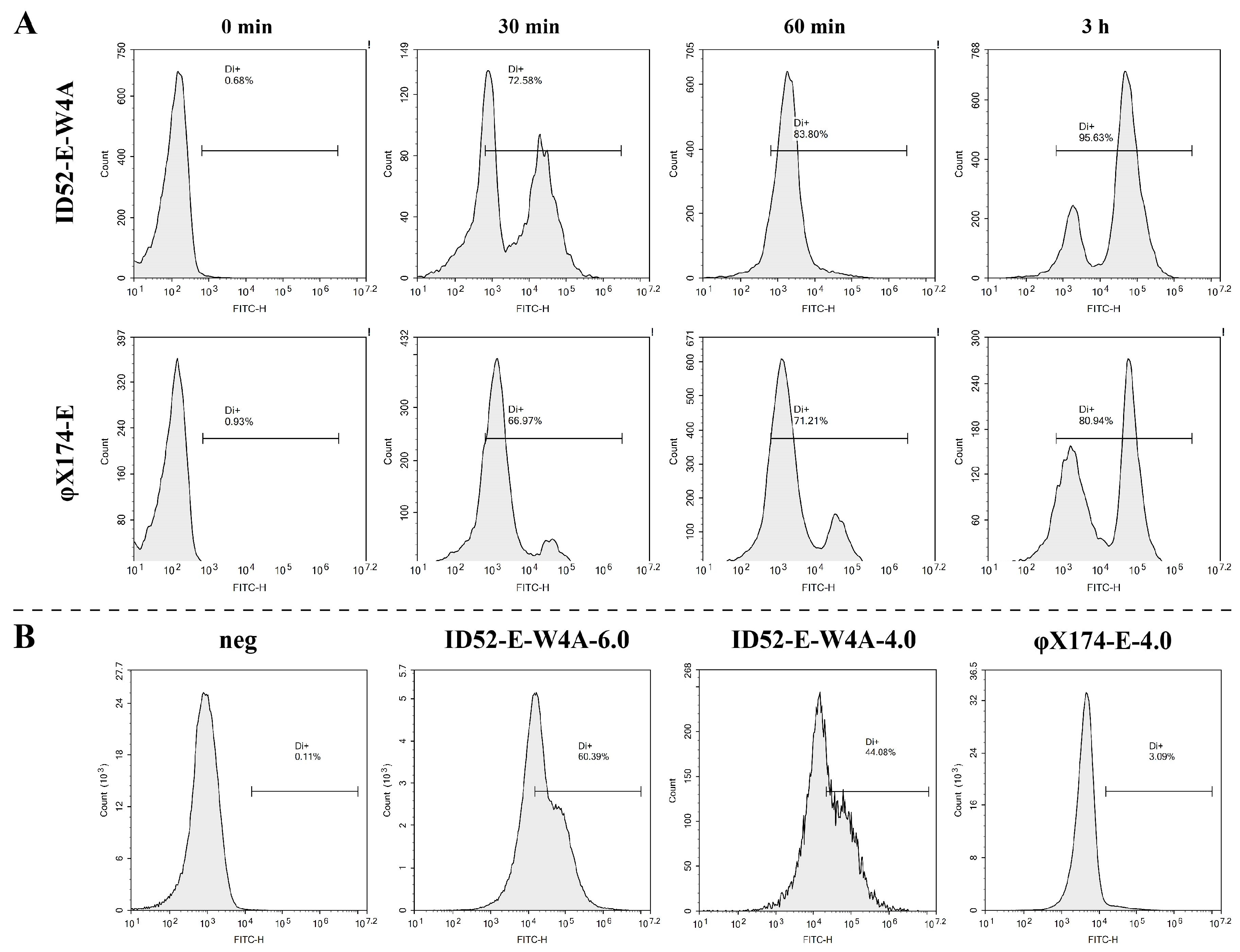 Construction and Mechanism Exploration of Highly Efficient System for ...