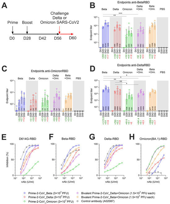 Novel Multi-Antigen Orf-Virus-Derived Vaccine Elicits Protective Anti ...