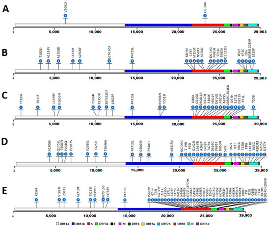 Vaccines | Free Full-Text | Comparative Analysis of Vaccine-Induced ...