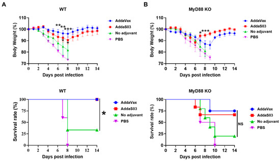 Differential Regulation of DC Function, Adaptive Immunity, and MyD88 ...