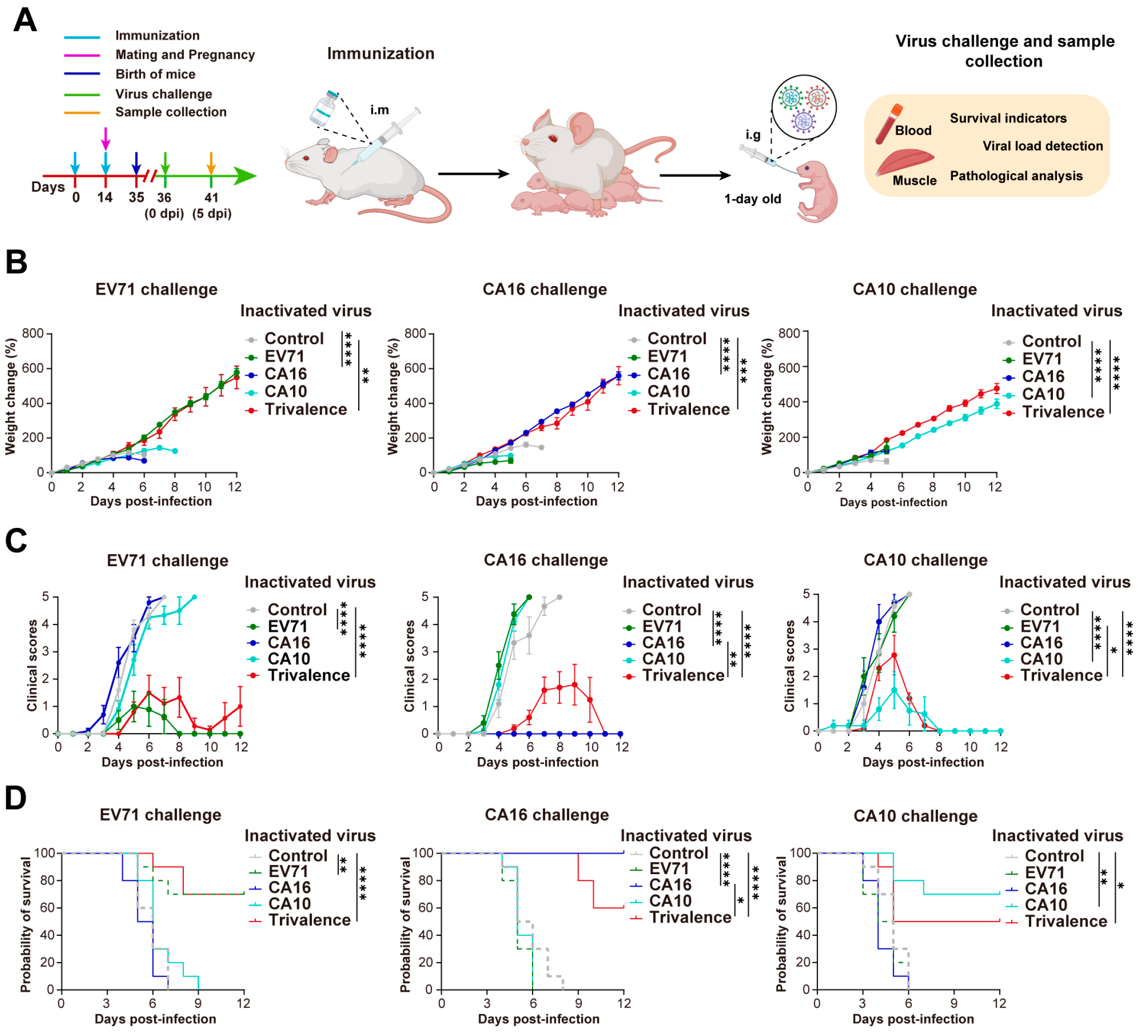 The Milk of Cows Immunized with Trivalent Inactivated Vaccines Provides ...