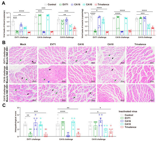 The Milk of Cows Immunized with Trivalent Inactivated Vaccines Provides ...