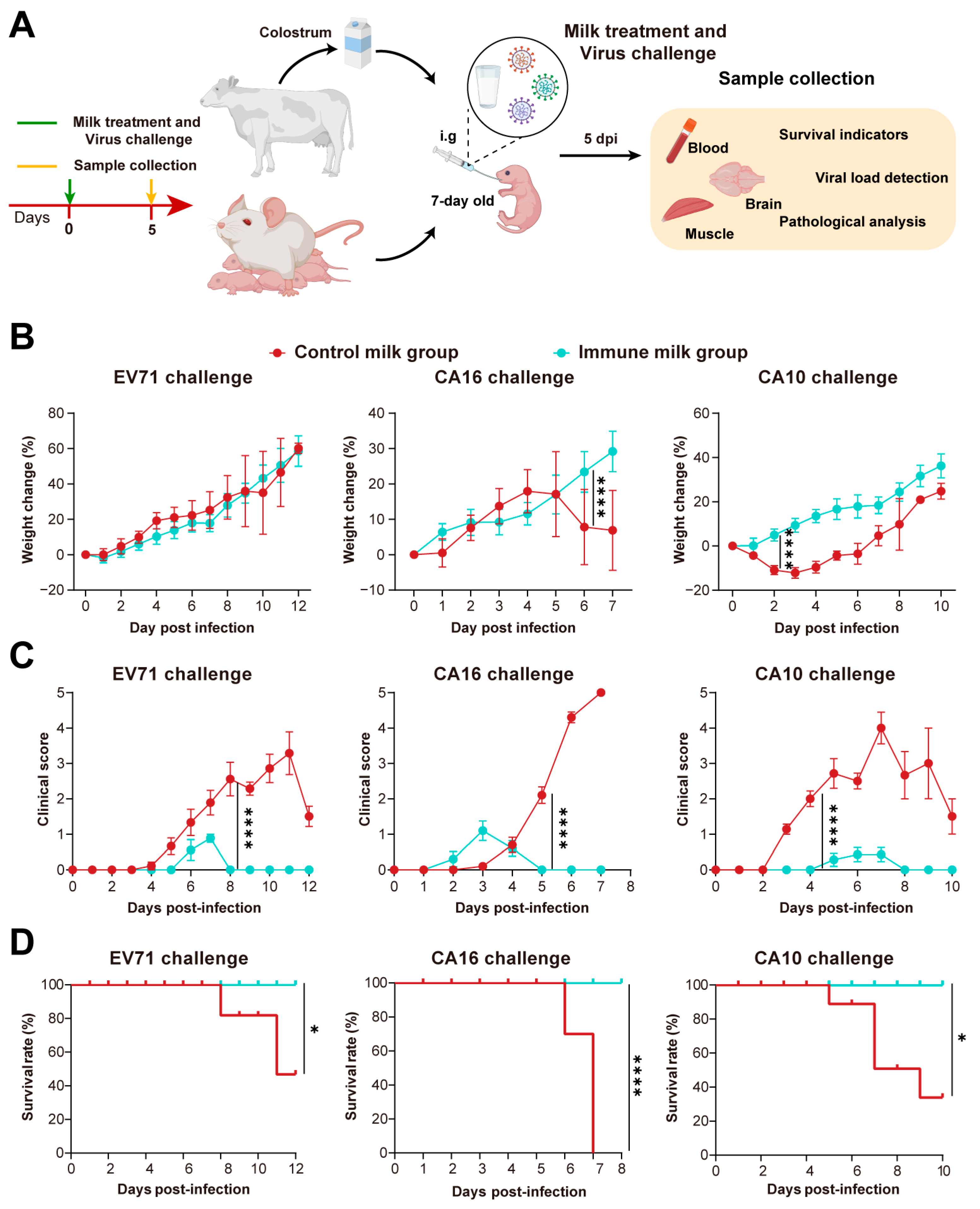 The Milk of Cows Immunized with Trivalent Inactivated Vaccines Provides ...