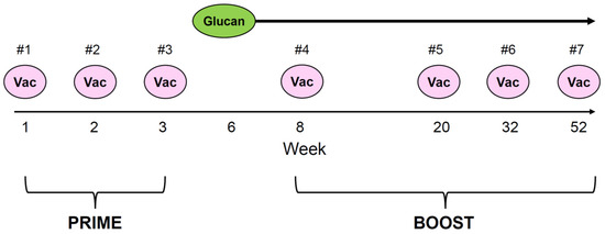 Long Prime–Boost Interval and Heightened Anti-GD2 Antibody Response to ...