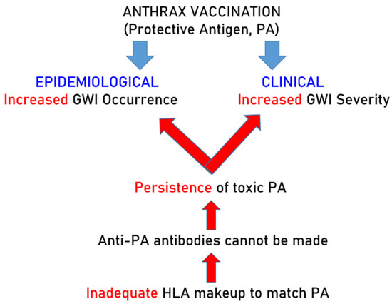 Anthrax Vaccination, Gulf War Illness, and Human Leukocyte Antigen (HLA)
