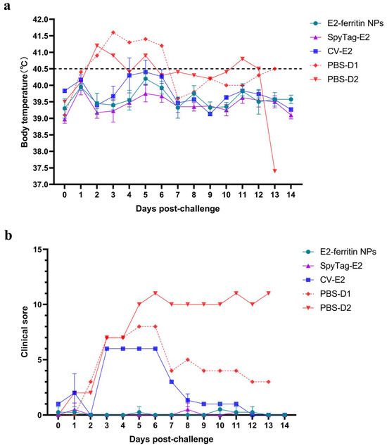 Ferritin Nanoparticle Delivery of the E2 Protein of Classical Swine ...