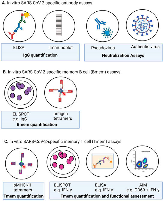 Vaccines | Free Full-Text | An Overview of the Strategies to Boost SARS-CoV-2-Specific Immunity ...