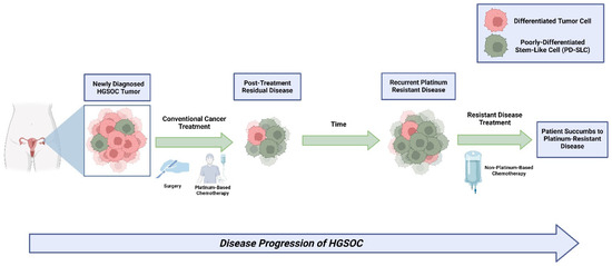 Vaccines | Free Full-Text | Exploring the Potential of Natural Killer Cell-Based Immunotherapy ...