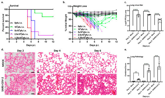 Protection of K18-hACE2 Mice against SARS-CoV-2 Challenge by a Capsid Virus-like Particle-Based ...