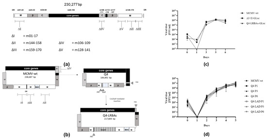 Construction and Characterization of a High-Capacity Replication ...
