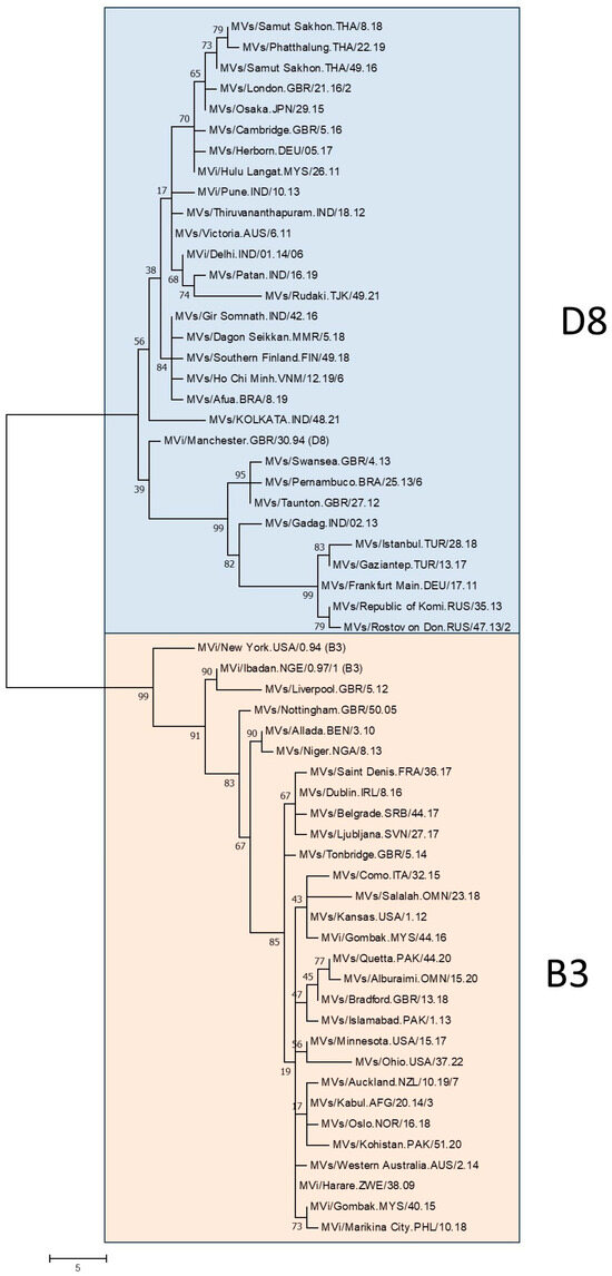 Global Update on Measles Molecular Epidemiology