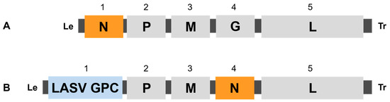 Preclinical Safety Assessment of the EBS-LASV Vaccine Candidate against ...