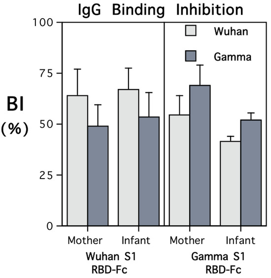 Vaccines | Free Full-Text | Maternal Immunization with Adjuvanted ...