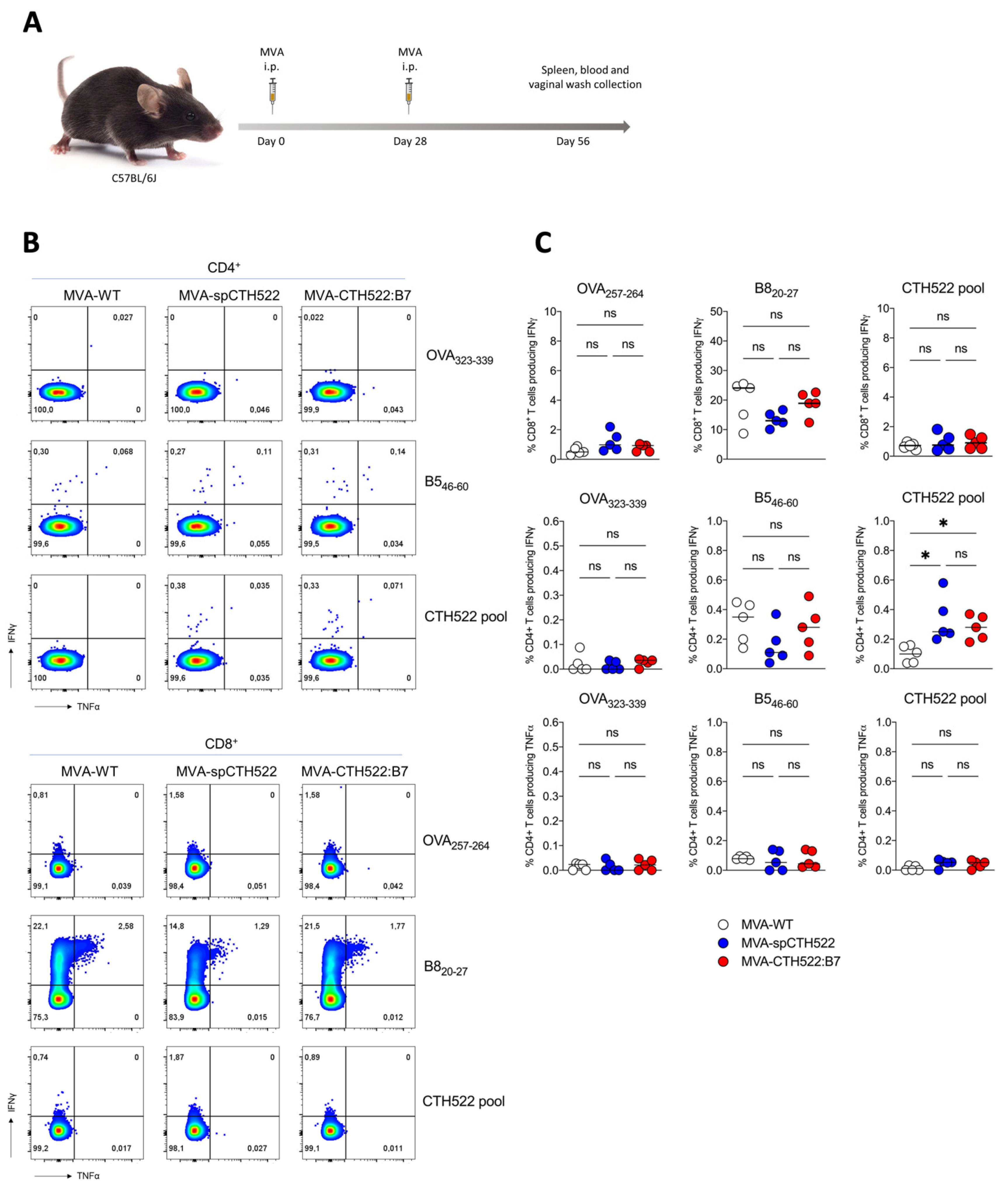 Viral Vector-Based Chlamydia trachomatis Vaccines Encoding CTH522 ...