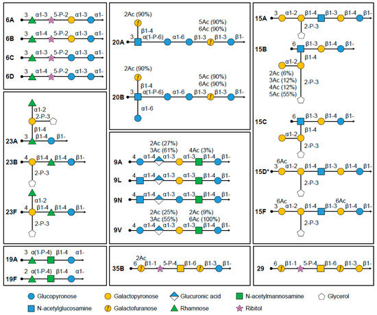 Implications of Cross-Reactivity and Cross-Protection for Pneumococcal ...