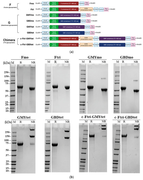 Immunogenicity and Neutralization of Recombinant Vaccine Candidates ...