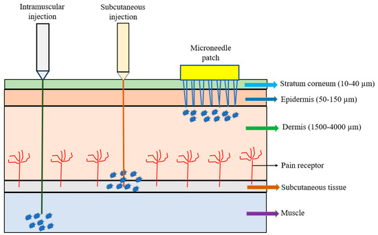 Novel Administration Routes, Delivery Vectors, and Application of ...