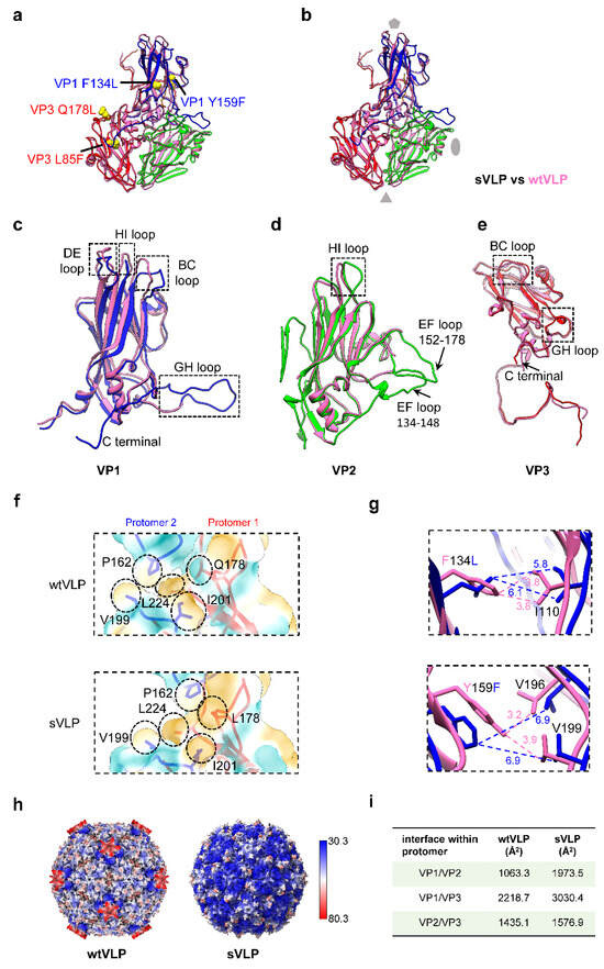 Vaccine Potency and Structure of Yeast-Produced Polio Type 2 Stabilized ...