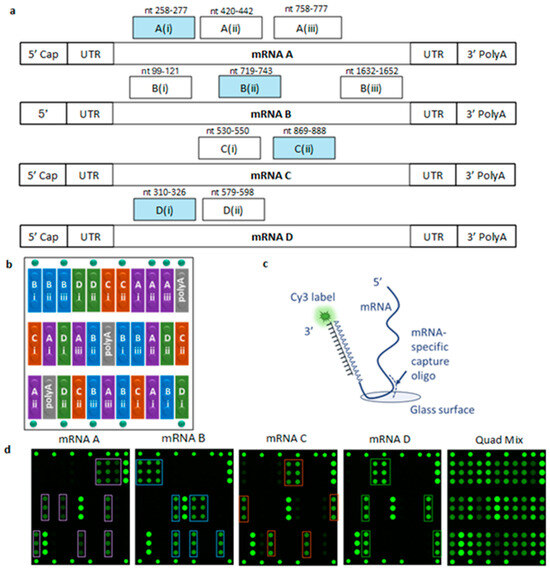 Analytical Performance of a Multiplexed Microarray Assay for Rapid ...