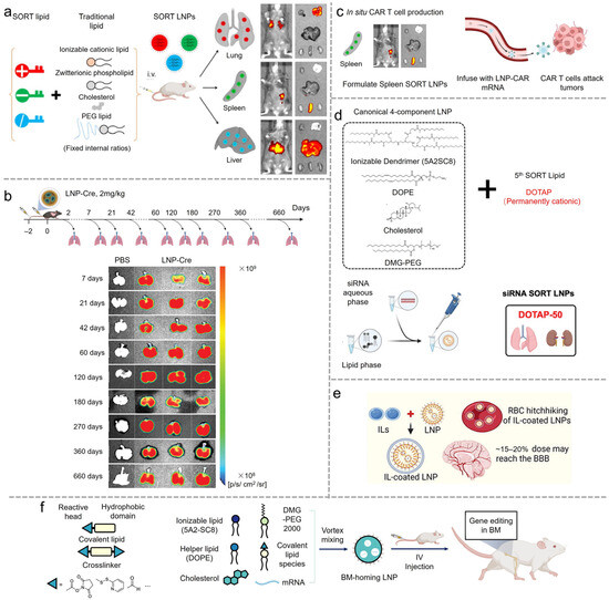 Recent Advances in Lipid Nanoparticles and Their Safety Concerns for mRNA Delivery