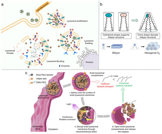 Recent Advances in Lipid Nanoparticles and Their Safety Concerns for mRNA Delivery