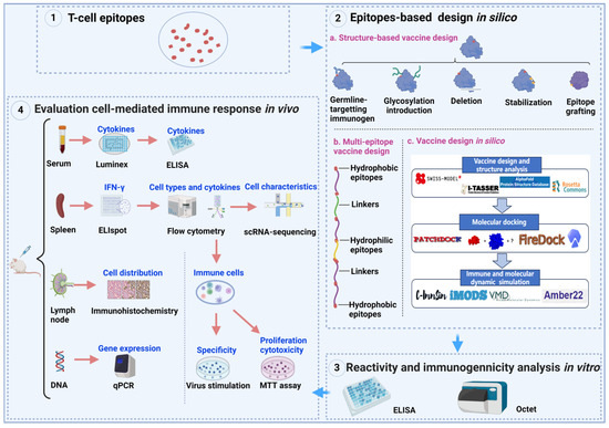 T-Cell Epitope-Based Vaccines: A Promising Strategy for Prevention of Infectious Diseases