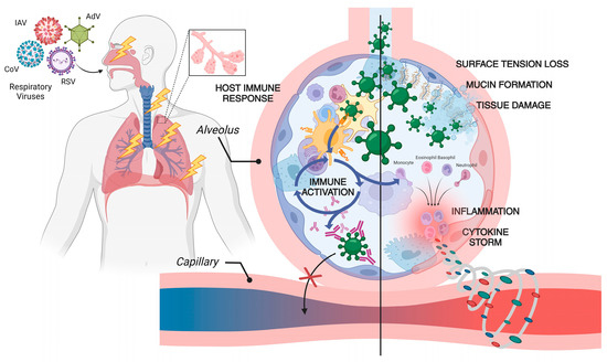 Combating Emerging Respiratory Viruses: Lessons and Future Antiviral ...