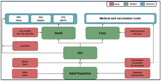 Cost-Effectiveness of Bivalent Respiratory Syncytial Virus Prefusion F ...