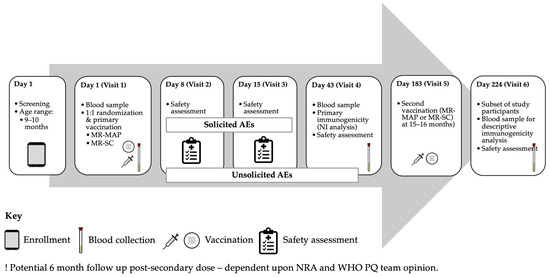 Measles–Rubella Microarray Patches Phase III Clinical Trial Framework ...