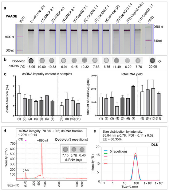 A Cap-Optimized mRNA Encoding Multiepitope Antigen ESAT6 Induces Robust ...