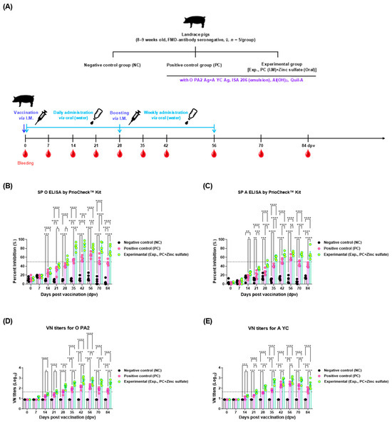 Oral Administration of Zinc Sulfate with Intramuscular Foot-and-Mouth ...