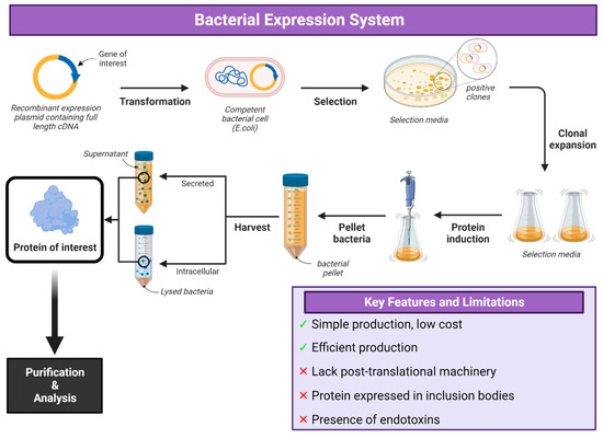Protein Expression Platforms and the Challenges of Viral Antigen Production