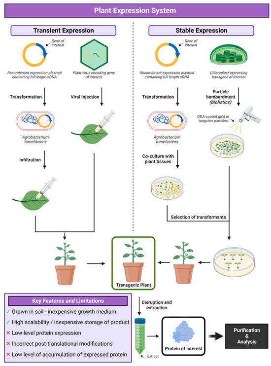 Protein Expression Platforms and the Challenges of Viral Antigen Production
