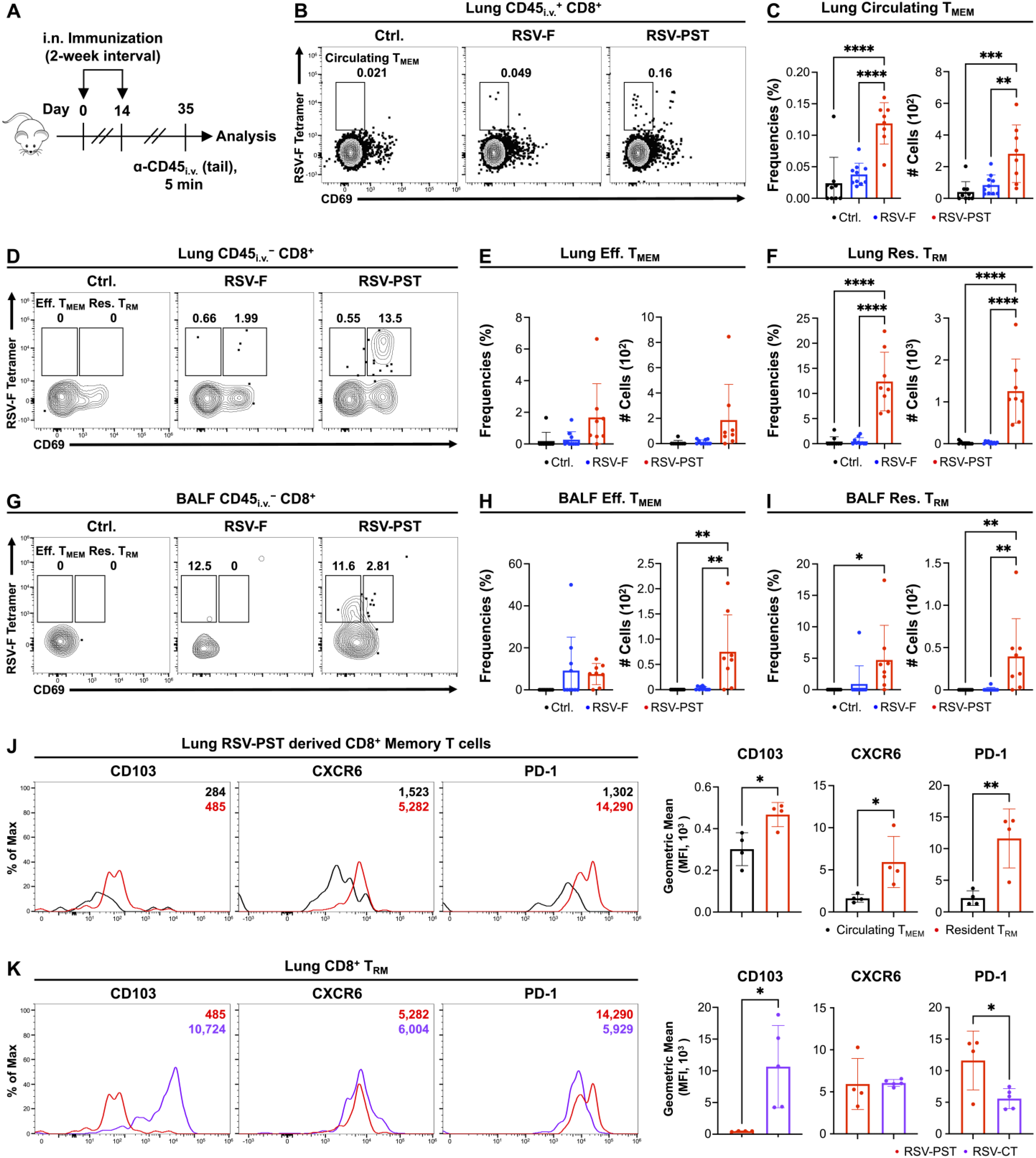 RSV Vaccine with Nanoparticle-Based Poly-Sorbitol Transporter (PST) Adjuvant Improves ...
