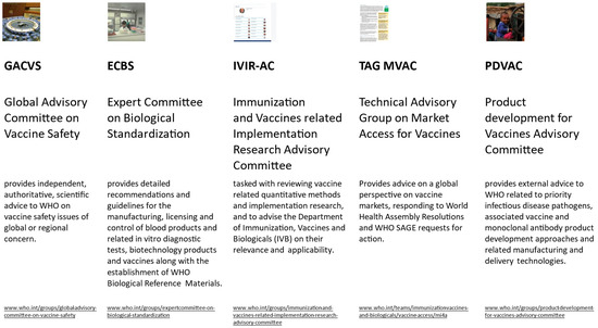 The Strategic Advisory Group of Experts (SAGE) on Immunization—Past ...